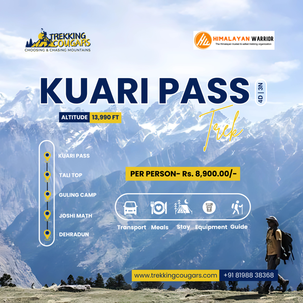 Kuari Pass Trek - Trekking Cougars